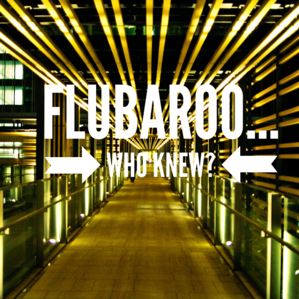 Flubaroo... Who knew? - Fair Winds Teaching